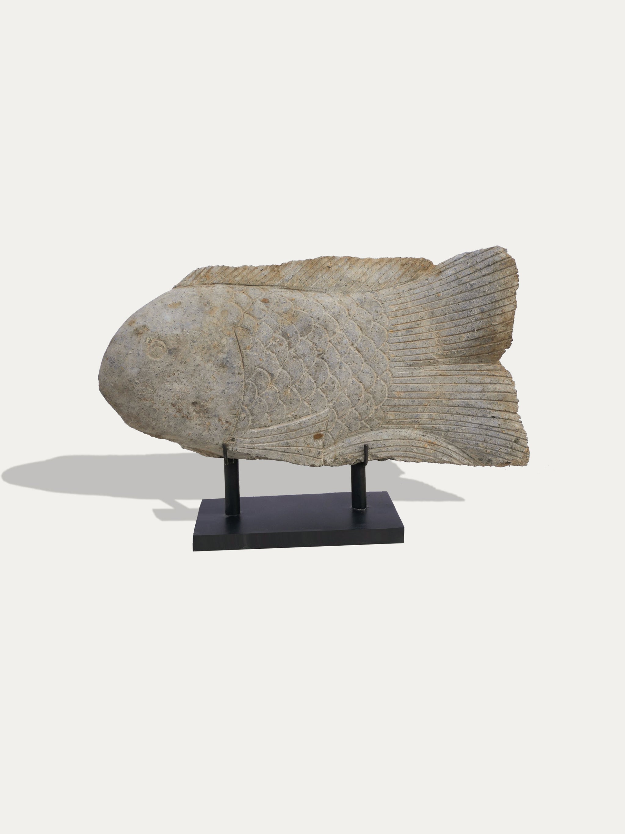 Fish statue in stone, statua in pietra